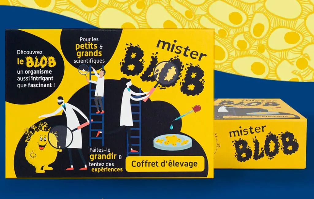 Notre Univers E commerce Prindis. Inspirez vous